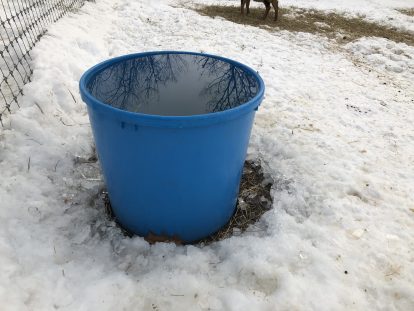 Ask a Farmer: Getting Ready for Winter | The Inn at East Hill Farm