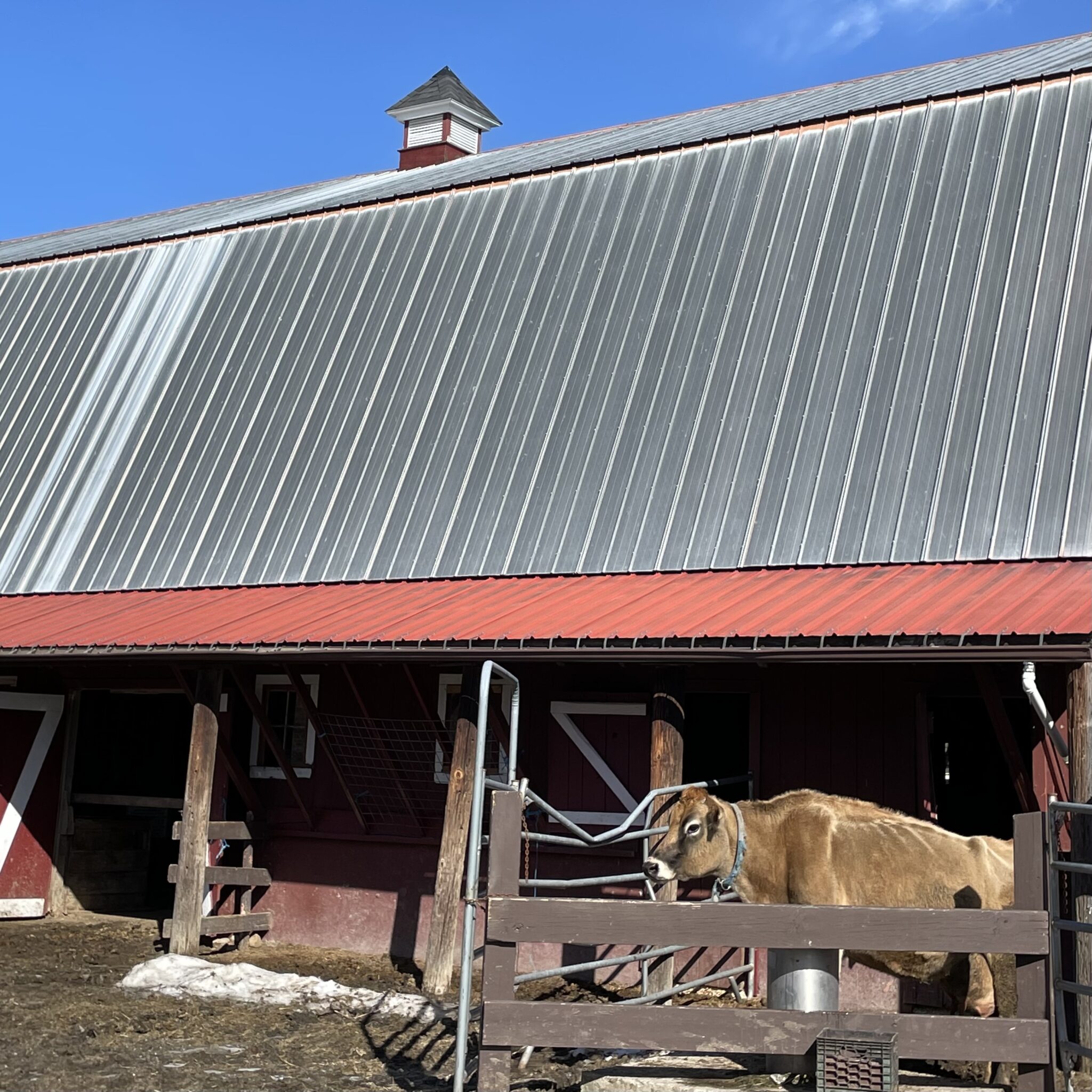 Ask a Farmer: Barn cupolas are not just for decoration. | The Inn at ...